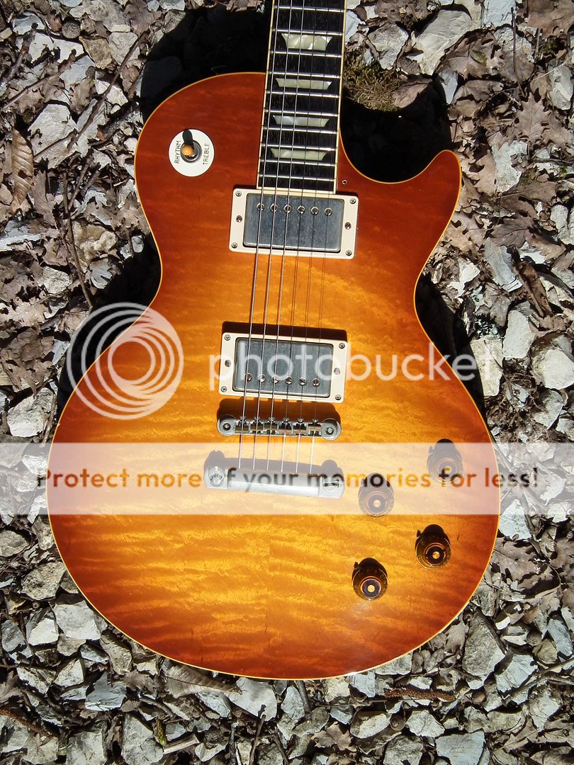 1981 LS200 | Tokai & Japanese Guitar Forum